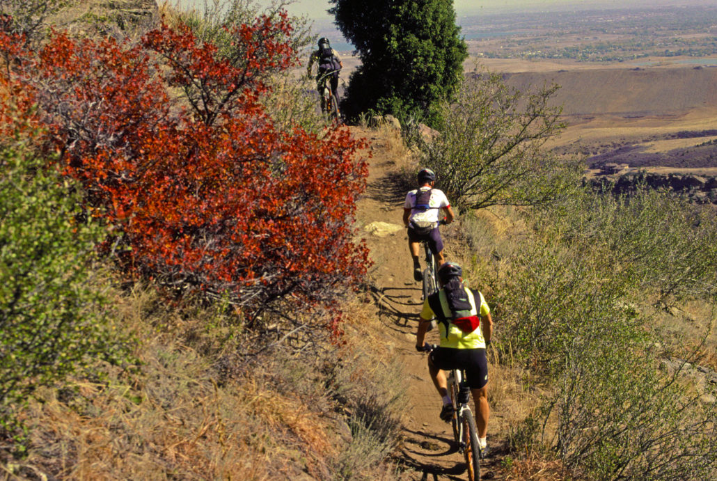 Matthews-Winters Park Gets Designated Mountain Bike Only Trail - PLANJeffco